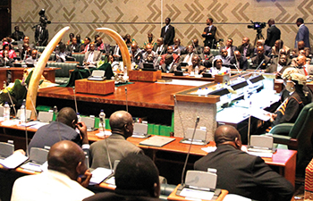 The Zambian Analyst: Zambia Adopts New Electoral Rules, Sets Elections ...