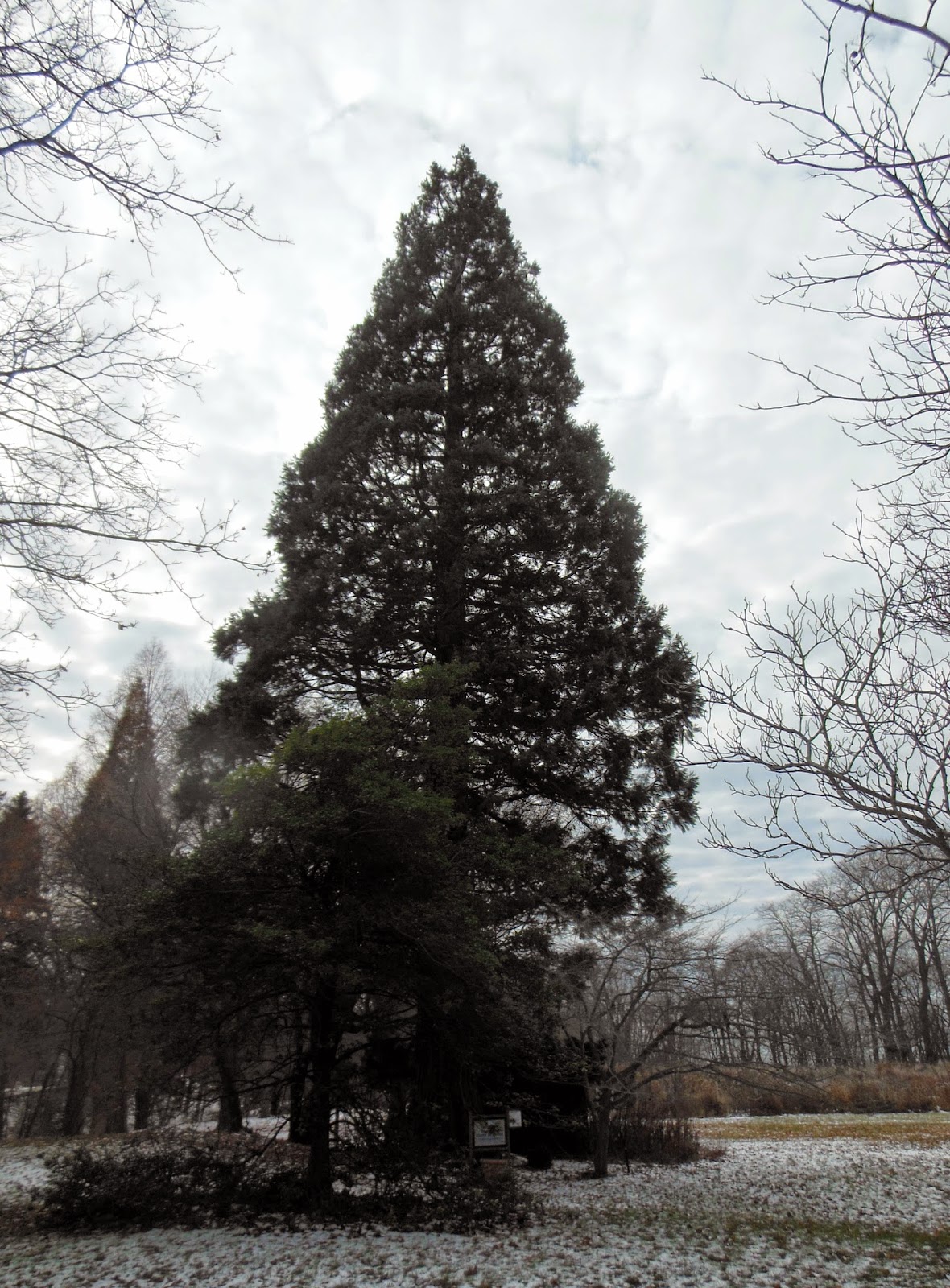 Focusing On Travel : Lake Bluff Bird Sanctuary - It's Not Just For the ...