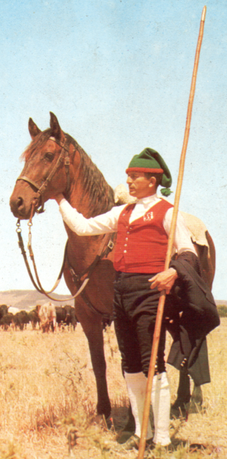 Concept Board: Campino