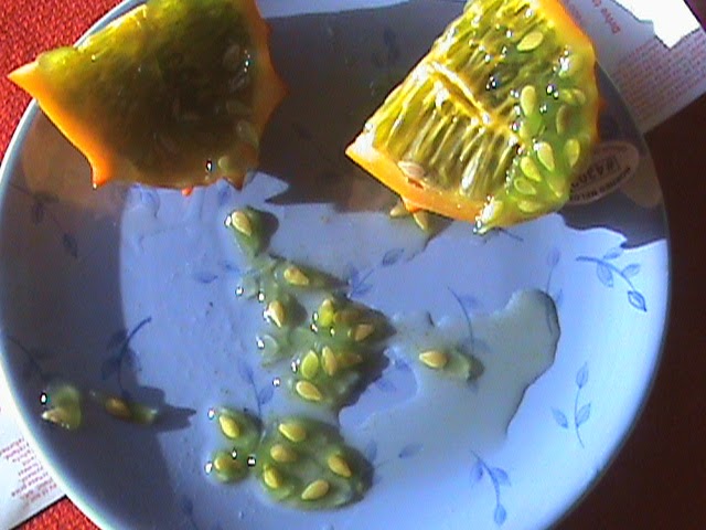 The Sower: A Peculiar Fruit