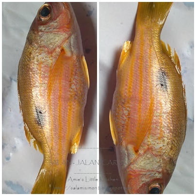 Kenali Pelbagai Jenis Ikan di Pantai Timur Sabah - Amie's Little Kitchen