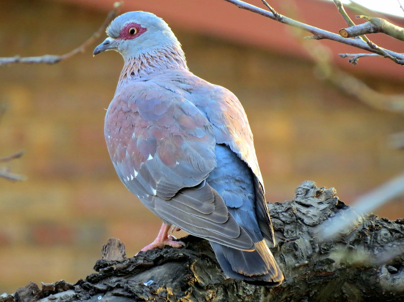 Kreatiewe Joernaal: Wintergedagtes