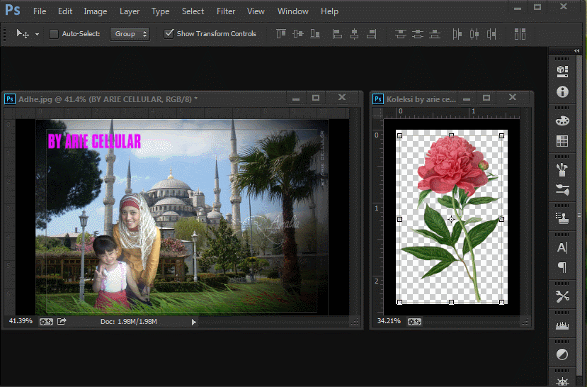 Menakjubkan 27+ Gambar Bunga Edit Foto - Gambar Bunga Indah
