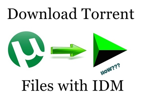 Torrents Hacker Experience - michaelhaval