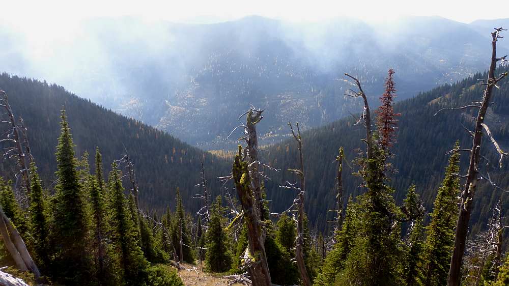 Tall Pines Hiker: Coal Ridge lookout