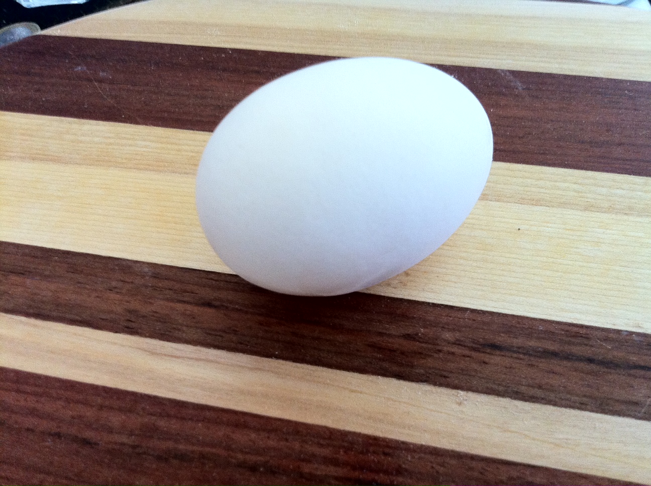 MilkJam: an egg