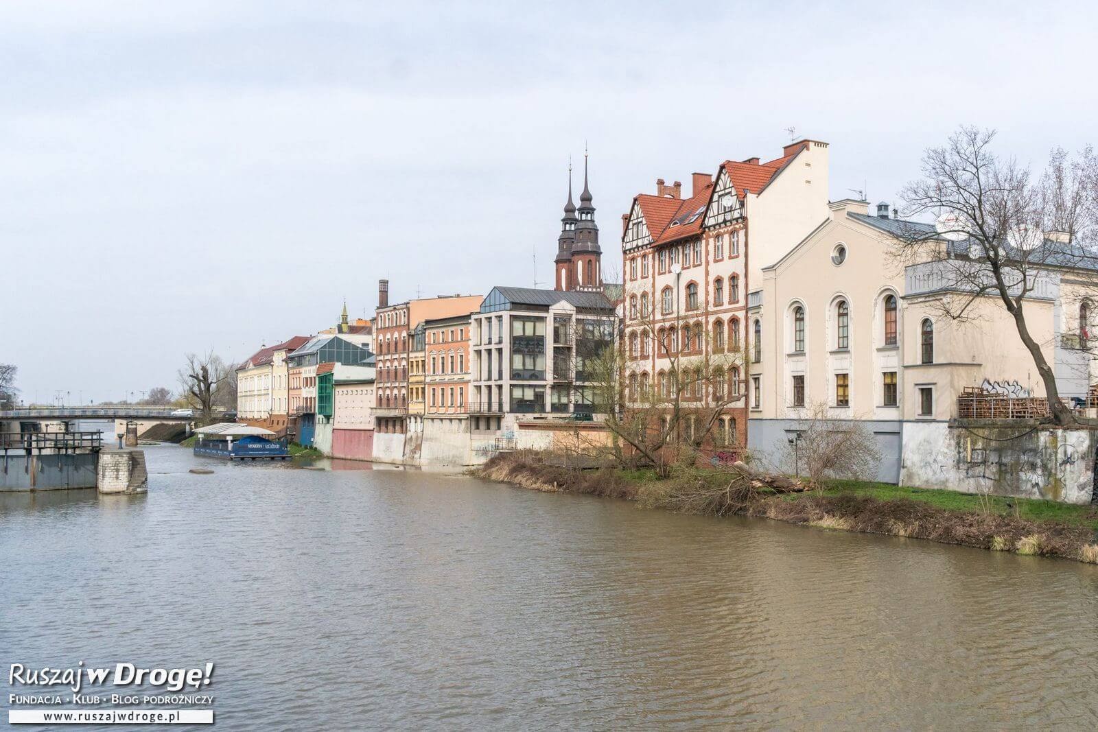 Co warto zobaczyć w Opolu? 11 pomysłów na 1 dzień