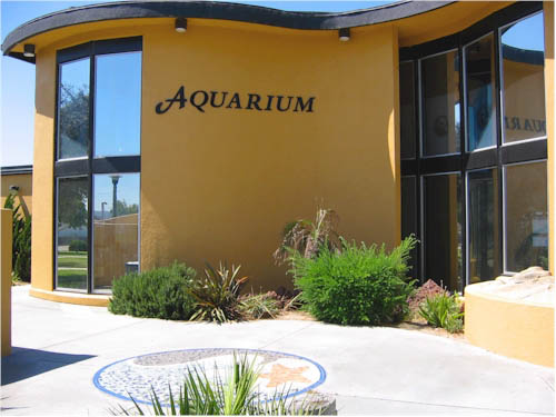 Ocean Sports Scuba & Freediving in Lompoc,CA. Full Service Dive Shop w ...