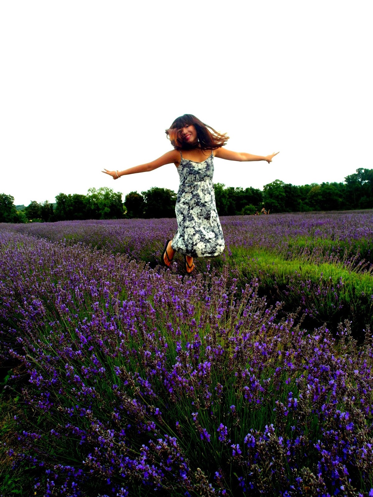 Mayfield Lavender Farm, Croydon | Lynette