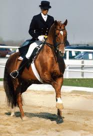 Sport : Reiten: Reitarten