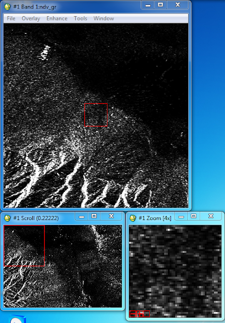 Advanced Remote Sensing: Geography 438: Lab 12: Radar Remote Sensing
