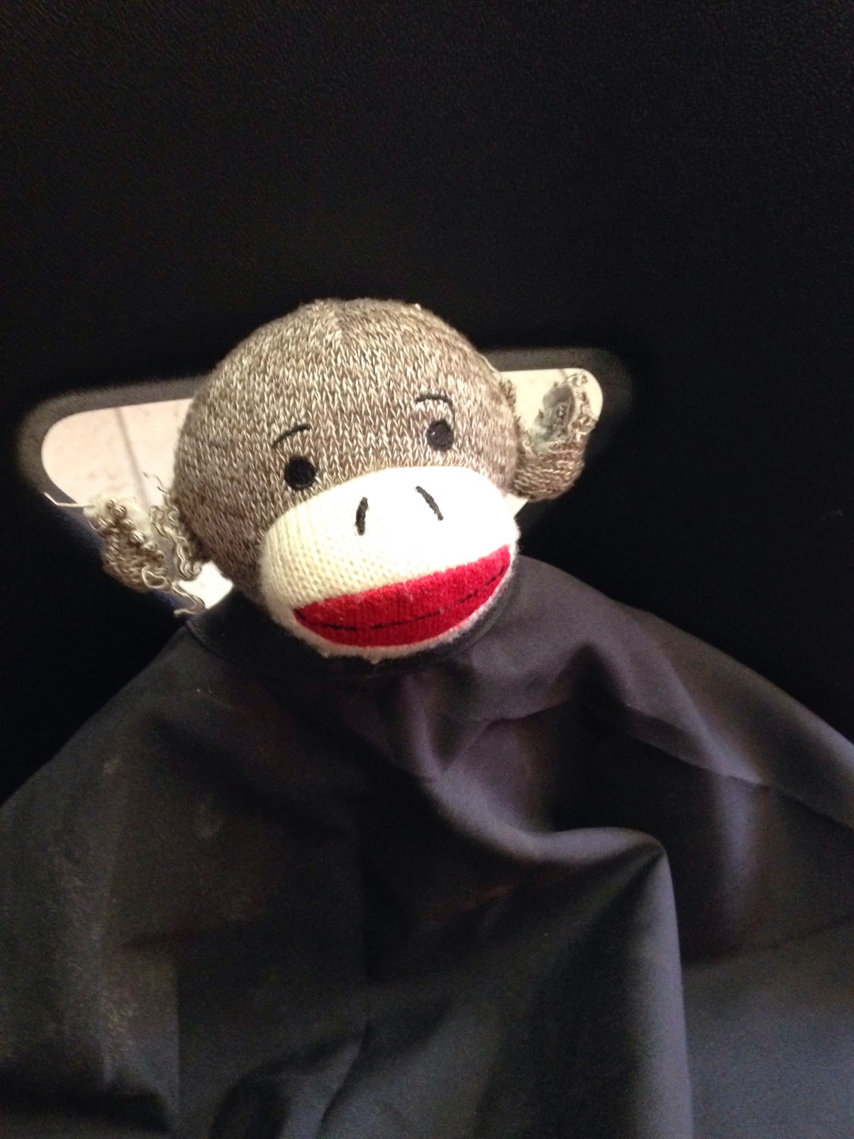 Liberace: The Sorted, Distorted, and Unsupported Tales of a Sock Monkey