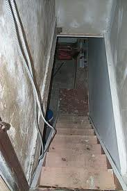 TWO PENNY SAGA: Emperor of the Basement - Michael J. Barron