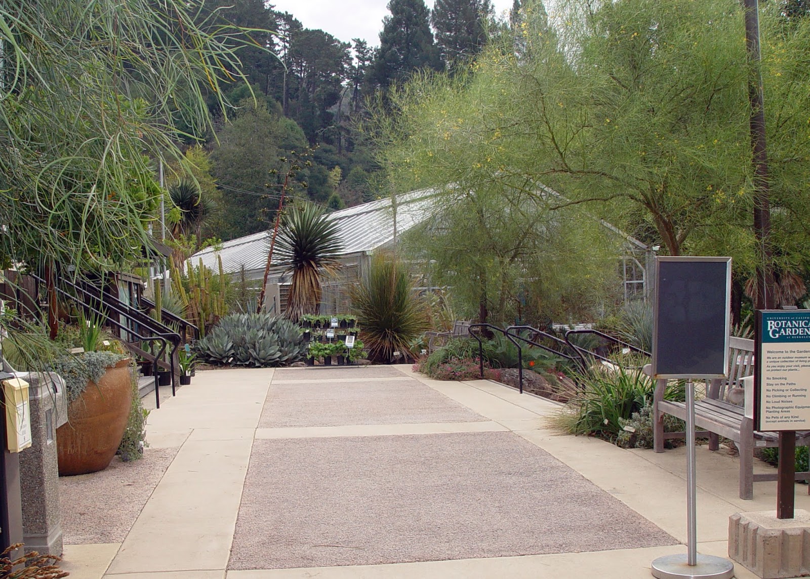 Eden By The Bay: Botanical Gardens: University of California, Berkeley