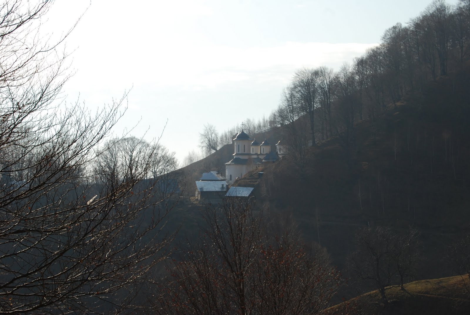 Habuc Ionut: Manastirea Patrunsa