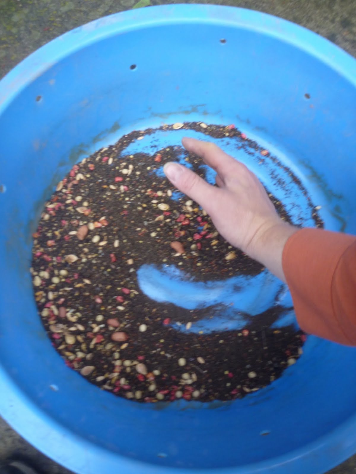 Dream Seed Farms: Adventures in Seed Balling