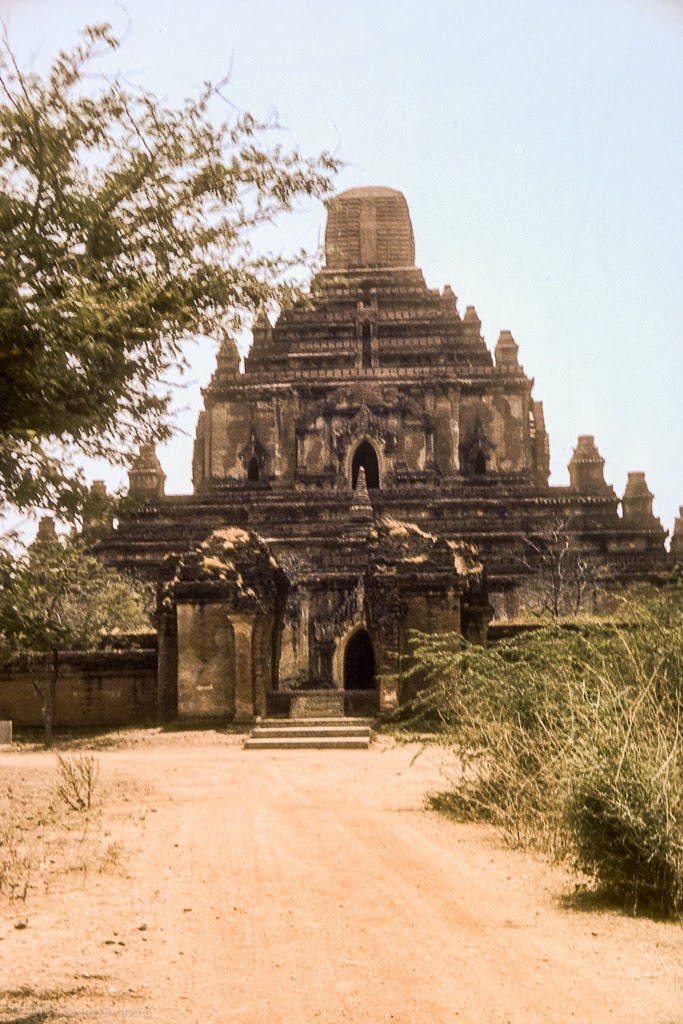 Swim In India, un voyage en Inde: J211 - Pagan, la plaine aux 3000 temples