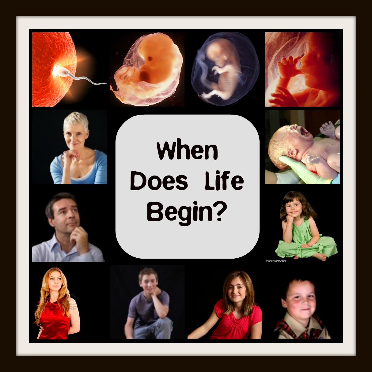 My Drop in the Ocean: 2012