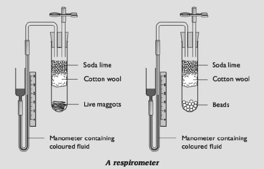 96 Using Respirometers Biology Notes For A Level