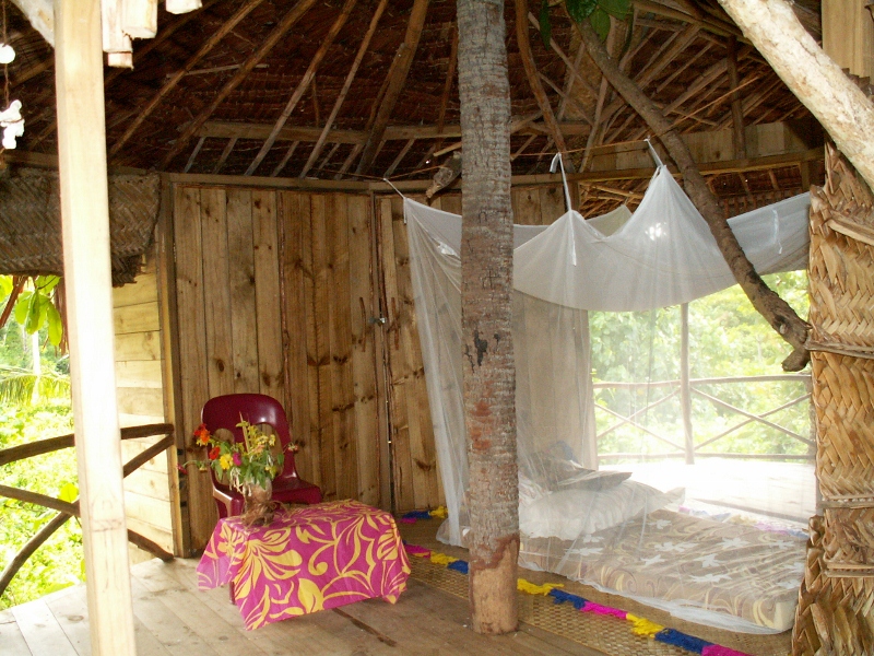 Helloo Samoa!: Saanapu Village and the tree house