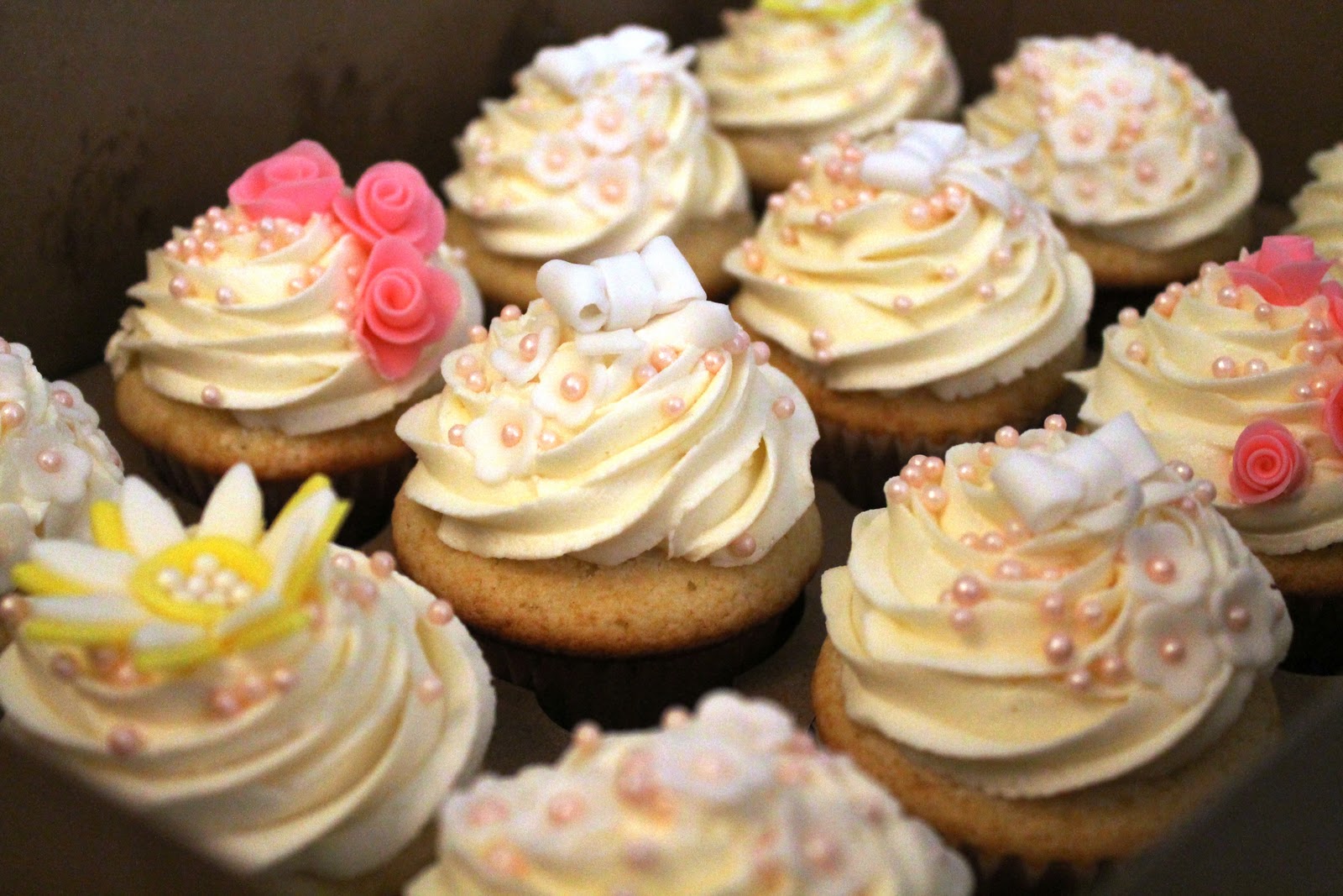 Adventures Of The Wild Cupcake