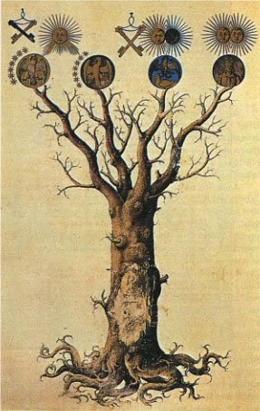 MAGONIA REVIEW: PRACTICAL ALCHEMY