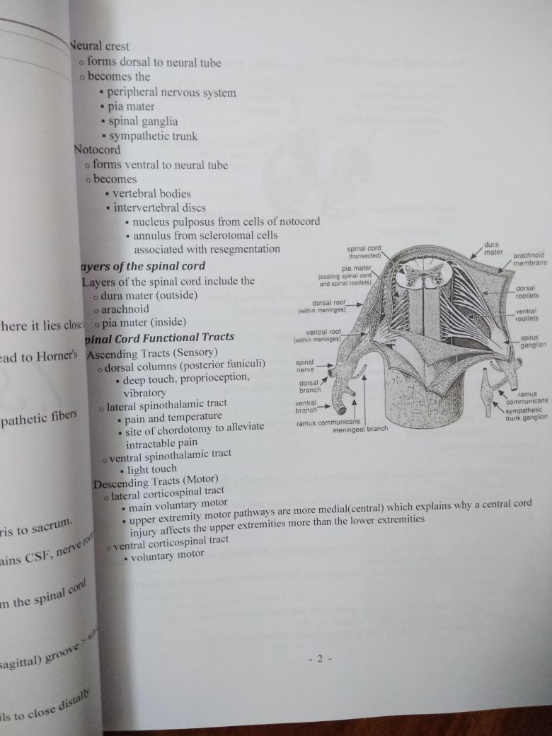 Dawangere Orthopaedic notes Hard copy 2018 edition - DNB Orthopaedics ...