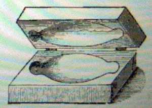 Researching Food History : Butter Shapes