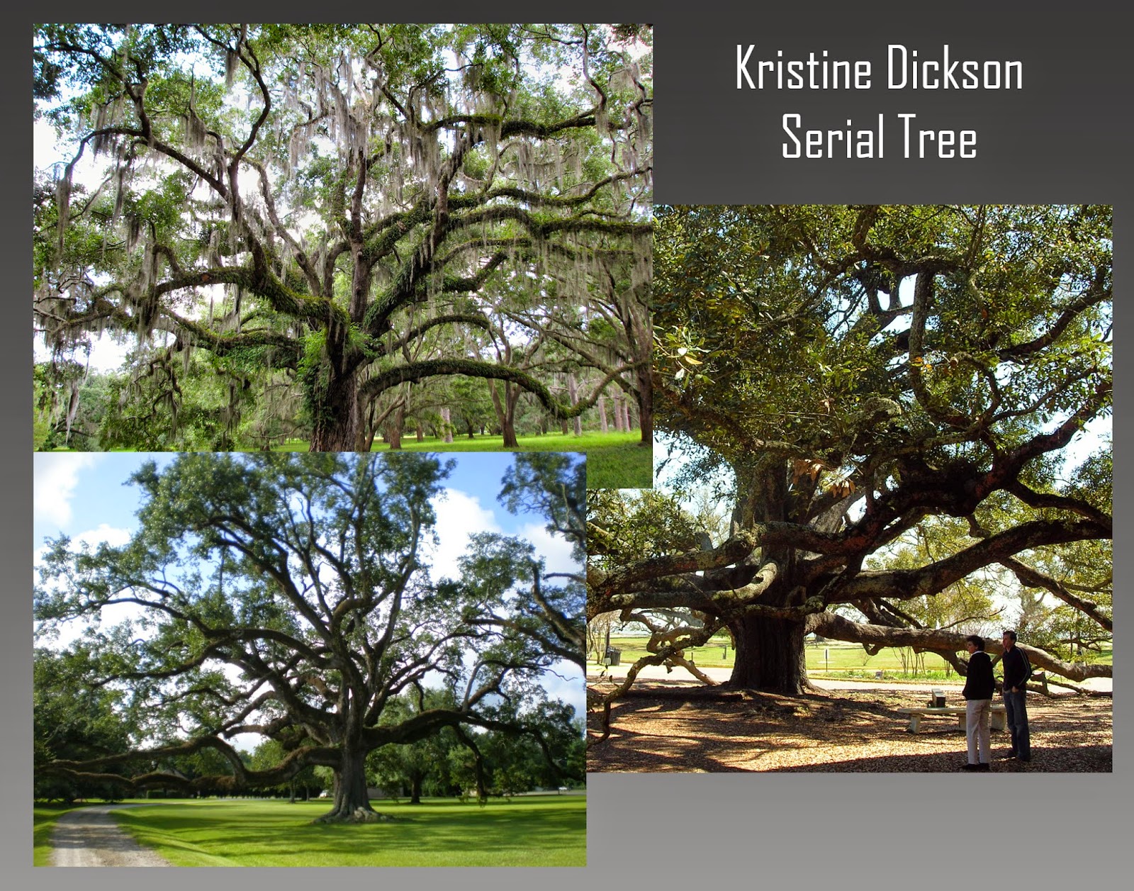 ATEC-FAB UTDallas : Kristine Dickson: Week 6 Serial Slicing - Tree