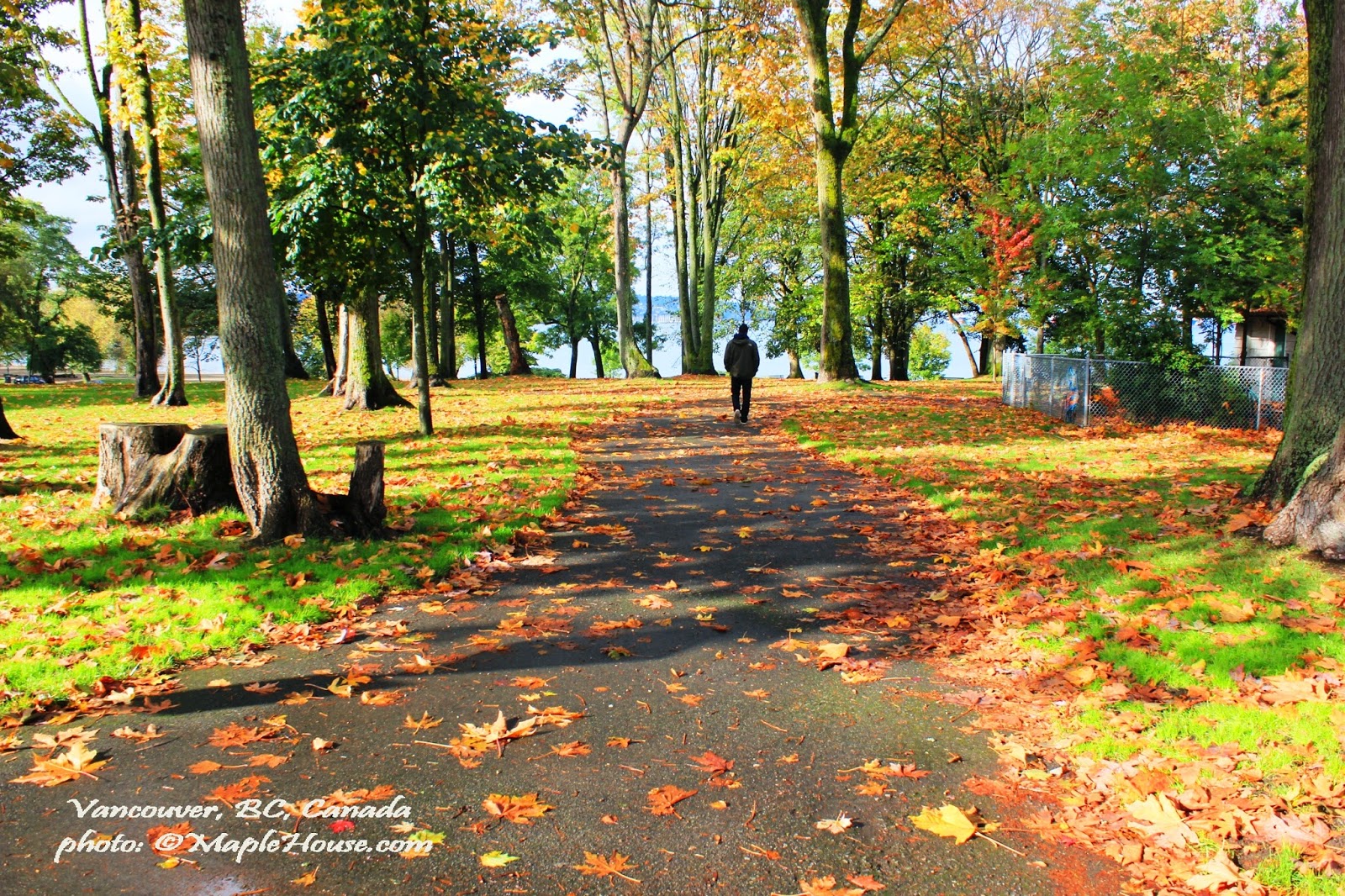 Living Vancouver Canada: Vanier Park & Hadden Park - Vancouver
