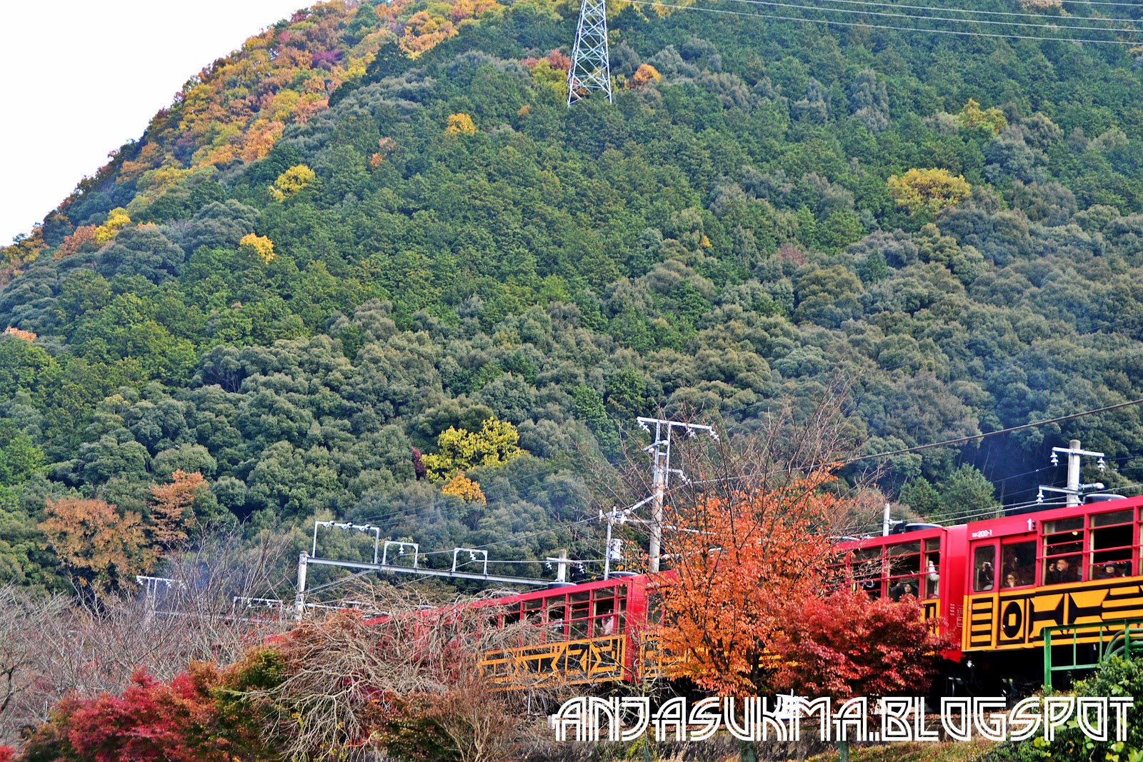 My World: ARASHIYAMA - SAGANO ROMANTIC TRAIN TOURS