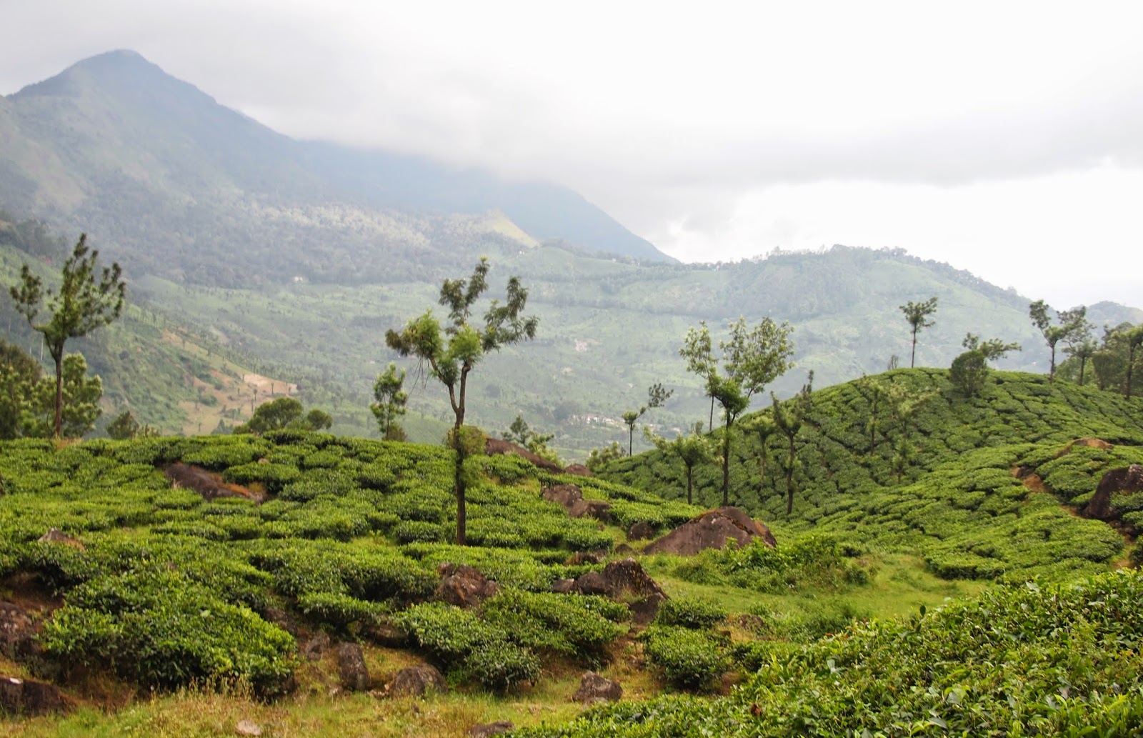 Balade à vélo: Inde Munnar