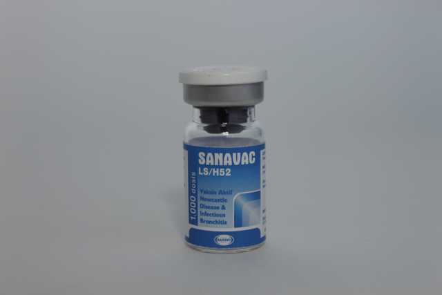 PT SANBIO LABORATORIES