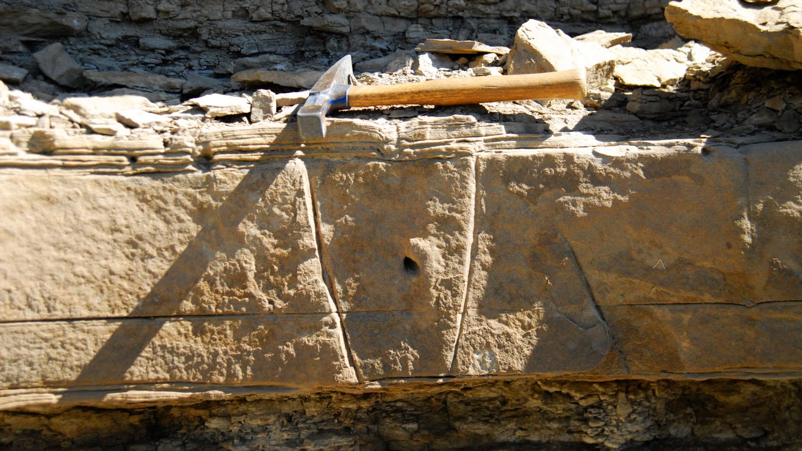 documentation of valuable things in life: Trace Fossils