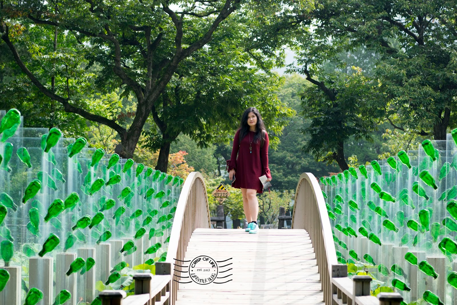 Nami Island & Garden of Morning Calm Tour @ Korea [sponsored/Trazy.com ...