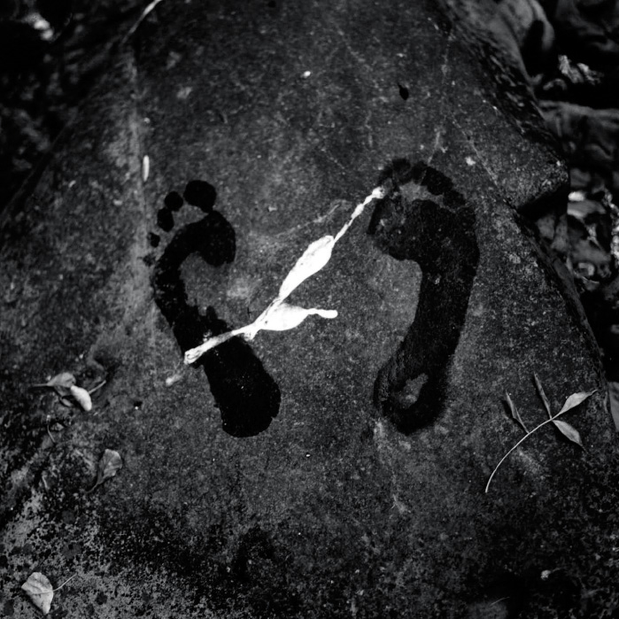 ISRAEL ARIÑO EN EDICIONES ANÓMALAS | Cienojos