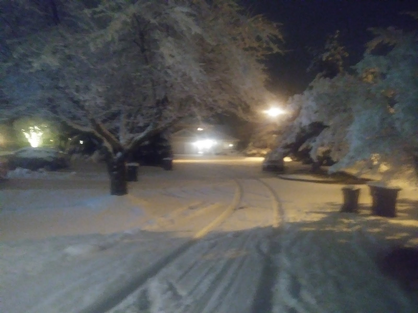 Barers of Maple Valley: Snow Stops Activiy In Area--Creates Road Hazards