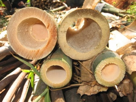 RUMAH KAIL: Pembuatan dan pemasangan rucuk bambu