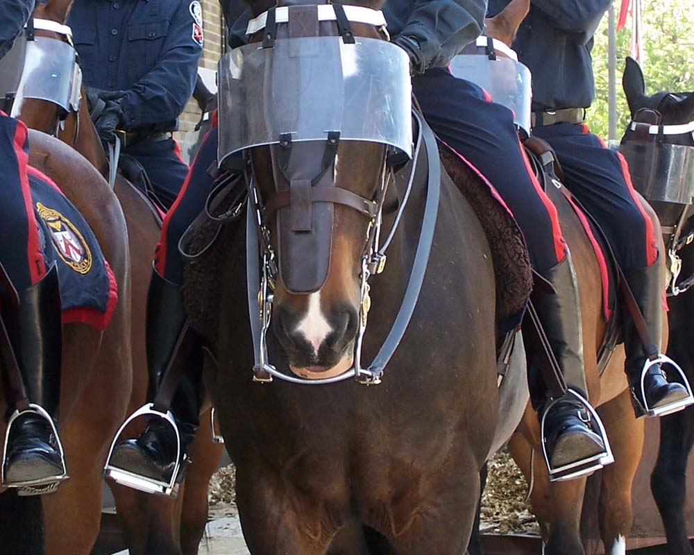 Toronto Grand Prix Tourist - A Toronto Blog: Police Horses to go to ...