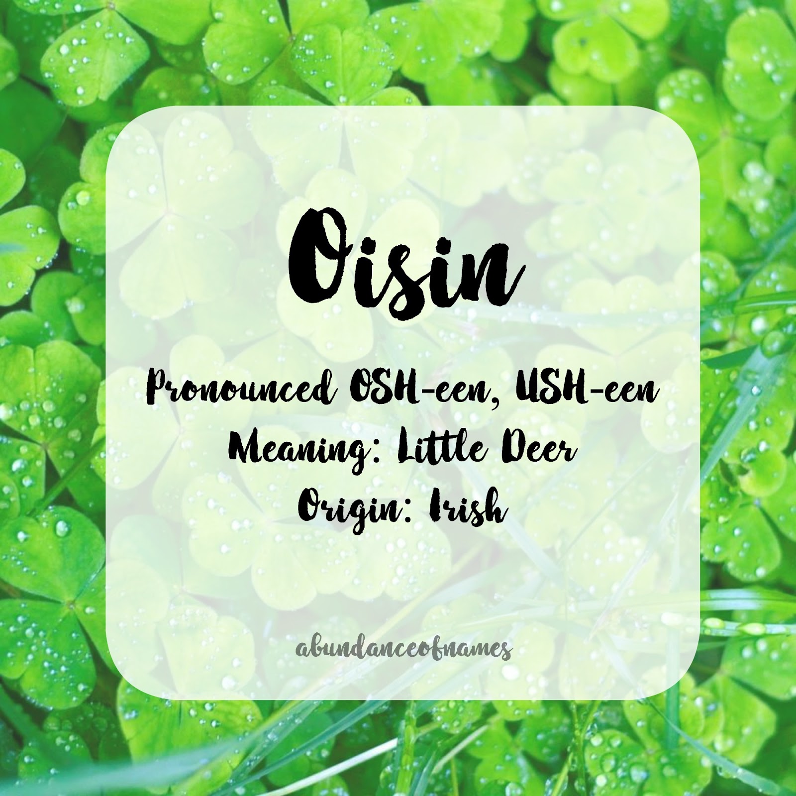 Ren's Baby Name Blog: Traditional Irish Names {Boys}