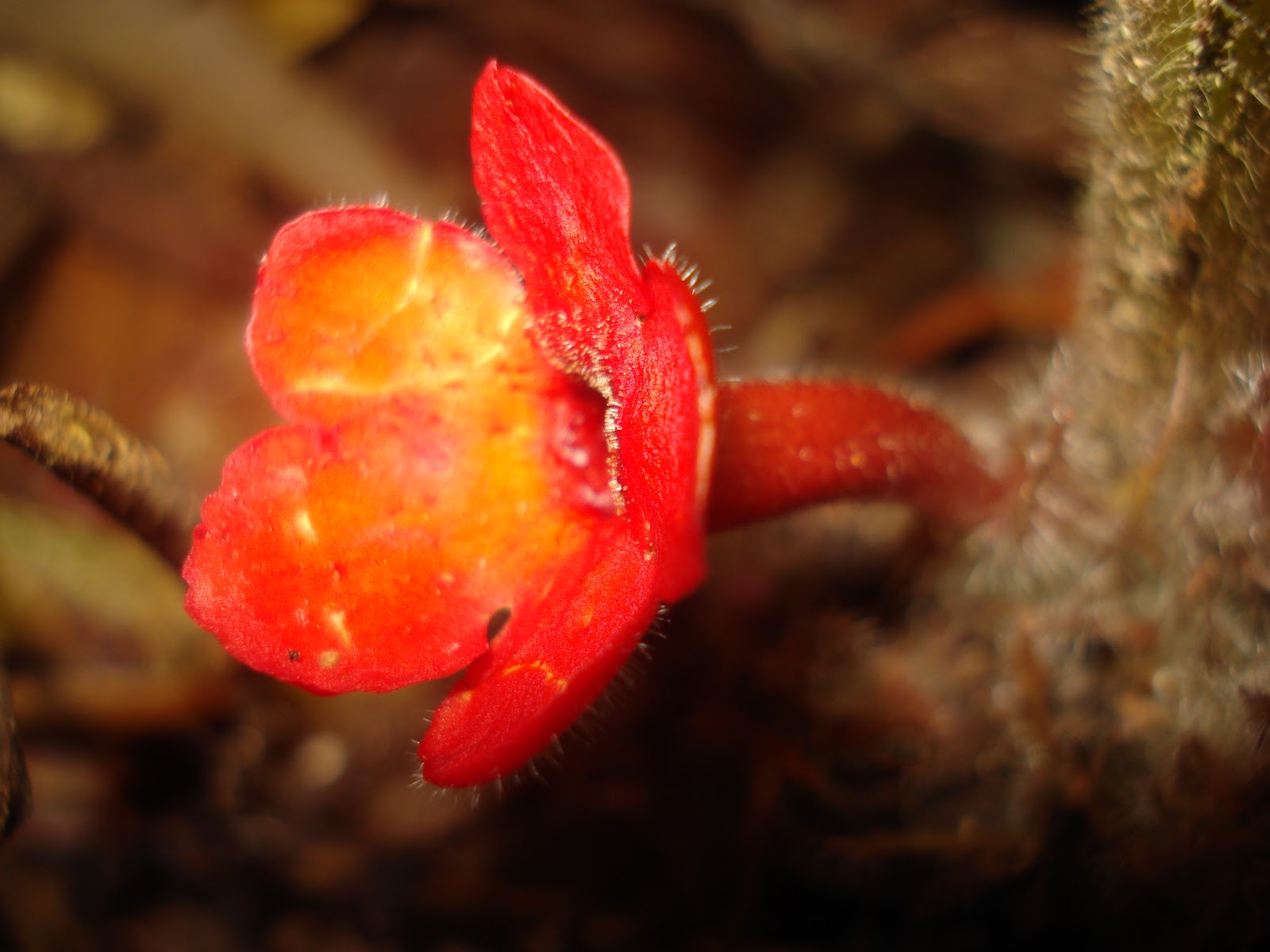 Exposición Fotográfica de la Biodiversidad