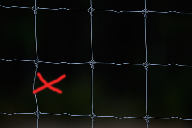 Gyllene snittet – eller tredjedelsregeln – Björns webbsida