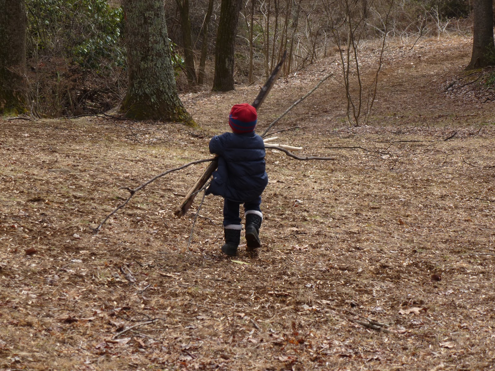 Our Journey of God's Faithfulness: Family Walk and Collecting Sticks