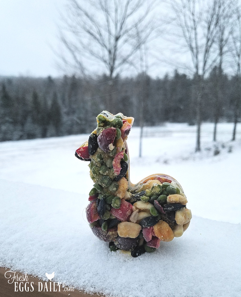 Festive Holiday Treats for your Chickens - Fresh Eggs Daily® with Lisa ...