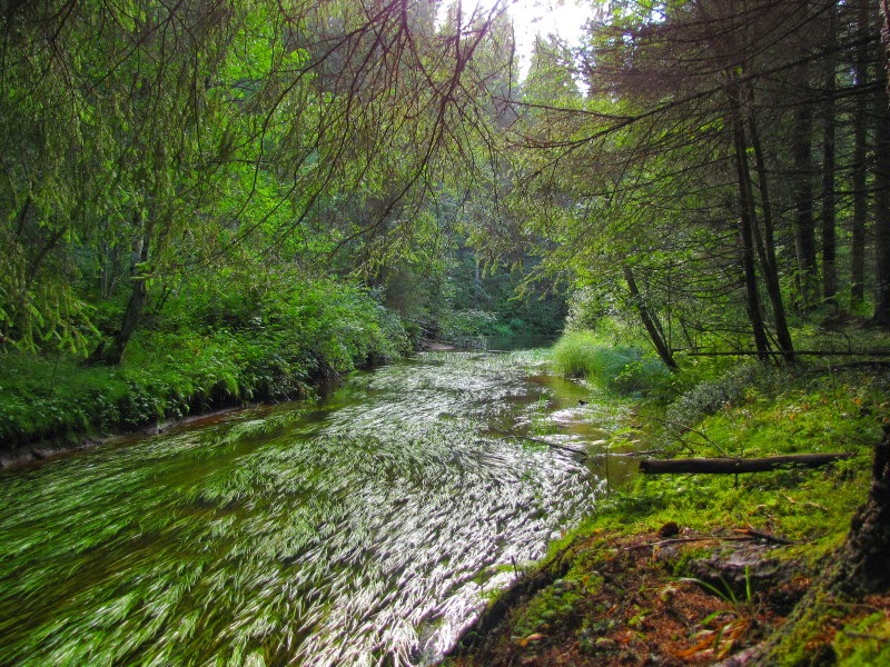 Luolamiehen blogi: Juupajoen raviinirotko, Juupajoki