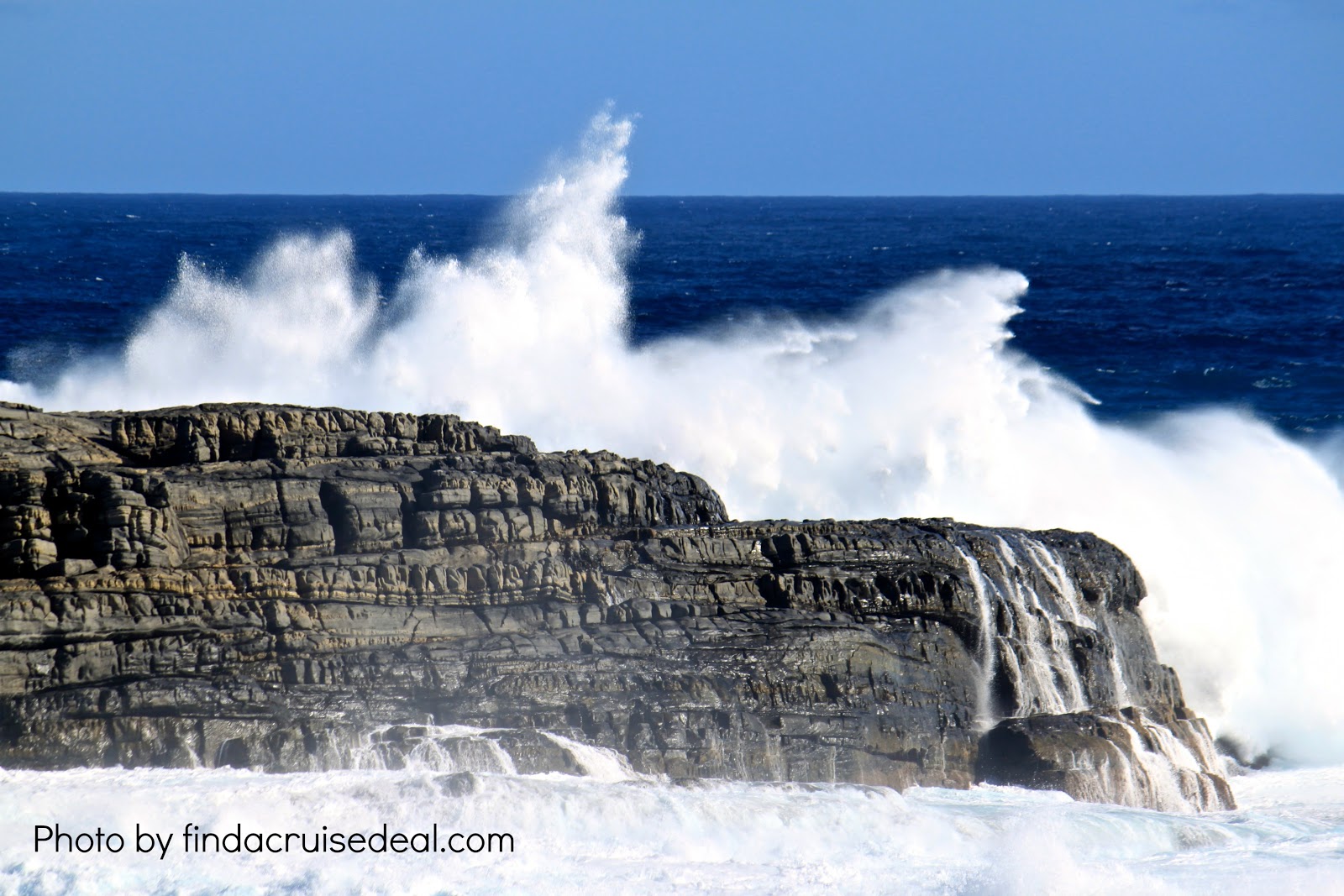 Carl's Cruise Capers and Travel Tips