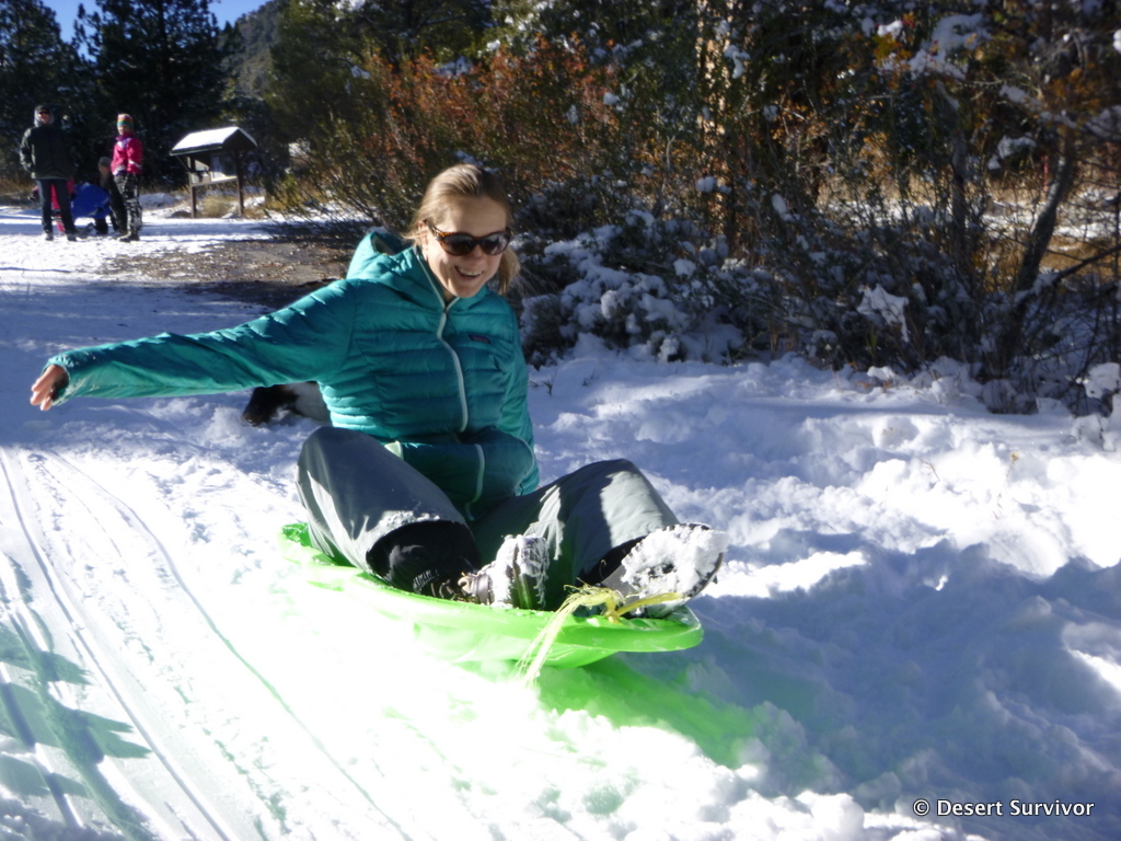 Desert Survivor: Our First Sledding Trip of the 2015/16 Winter