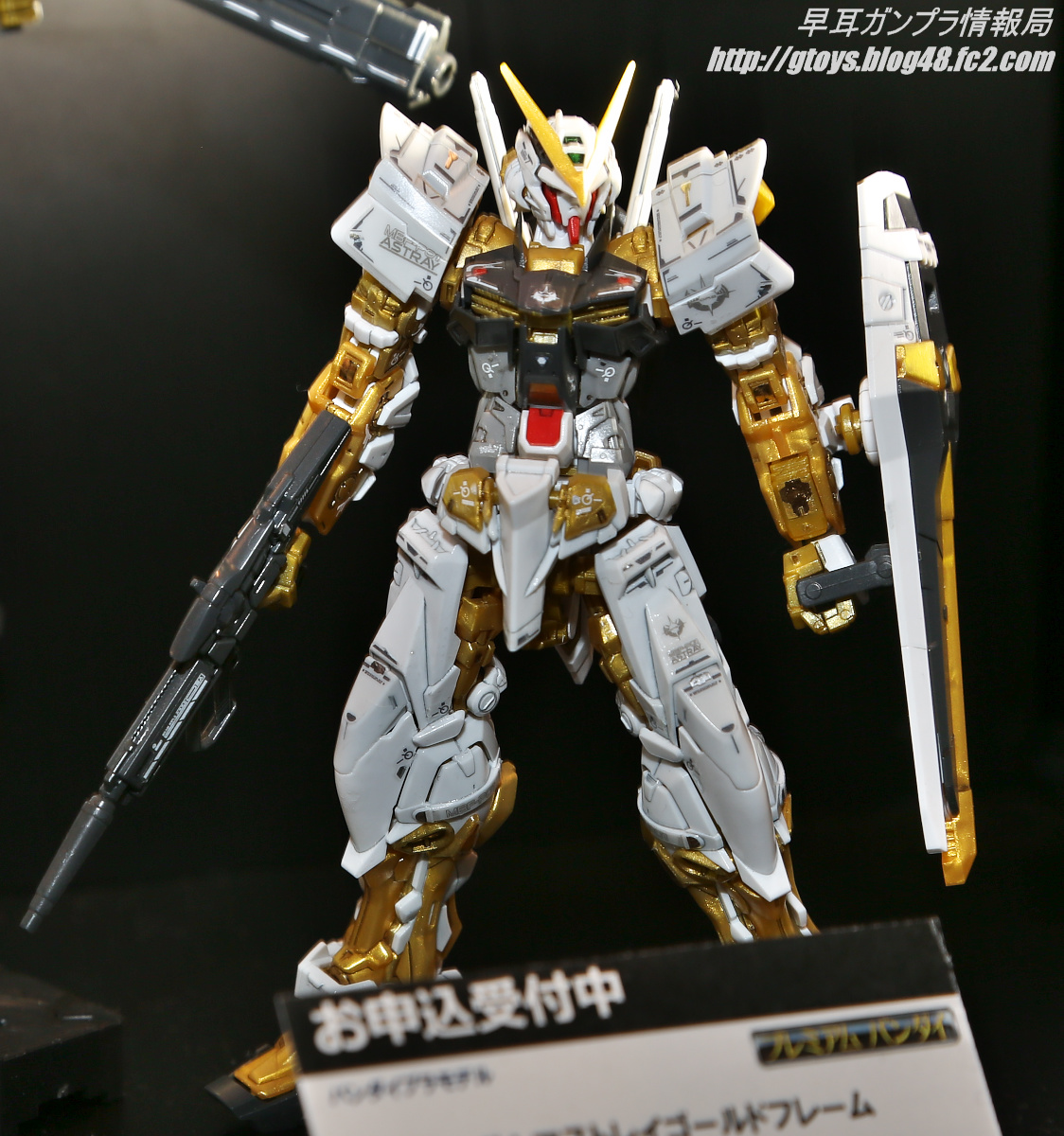 Real Grade Gundam: RG Astray Variant