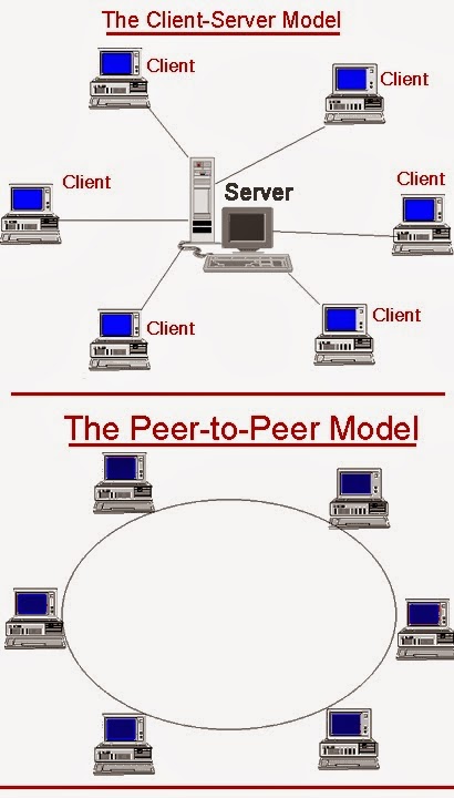 Networking Key Points: Basic Networking Knowledge