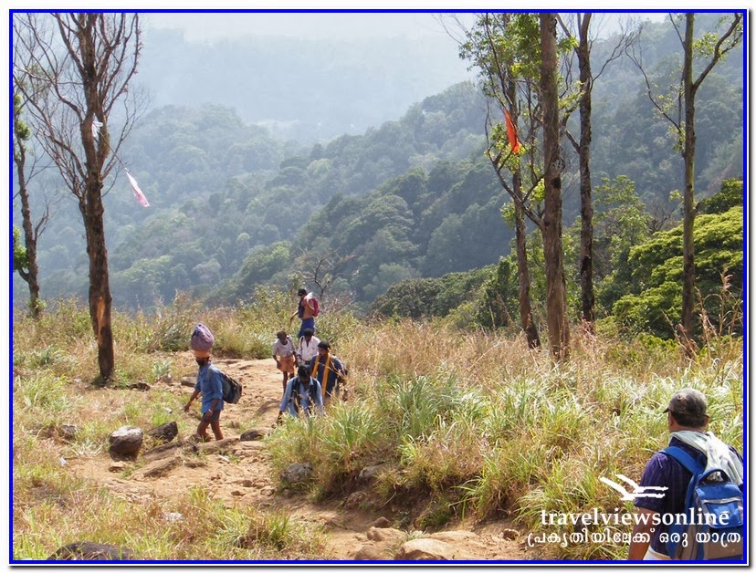 പ്രകൃതിയിലേക്ക് ഒരു യാത്ര (a travel towards NATURE): PULLUMEDU a unique ...